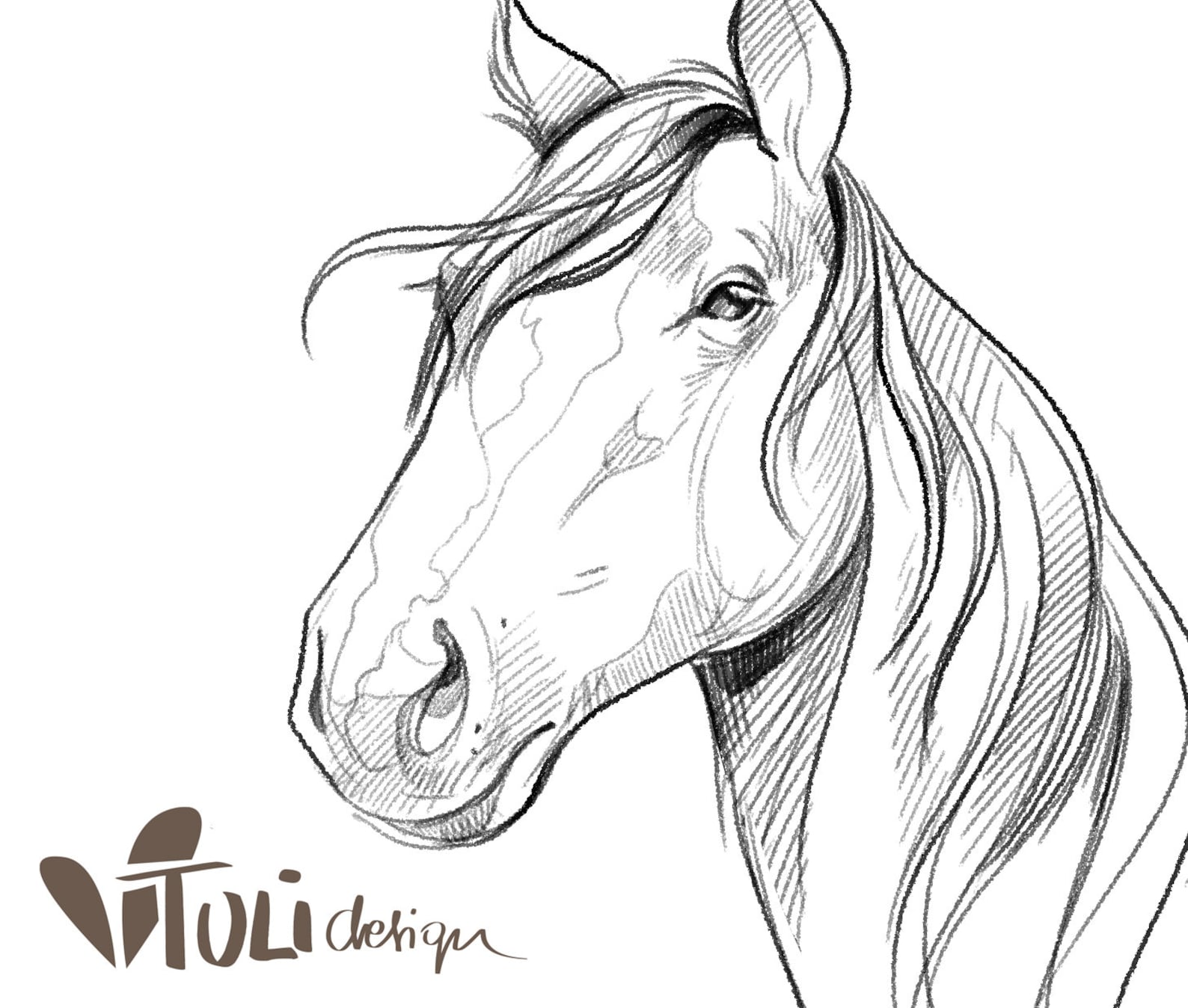Bocetos digitales con caballos. Boceto de caballo. Dibujo de | Etsy México