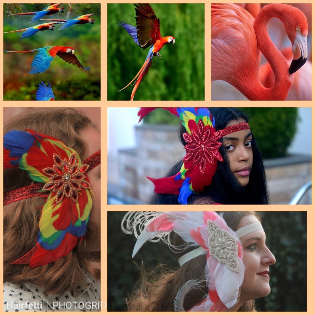 Parrot Headpiece, Parrot Costume, Tropical Headpiece, Costumes for ...
