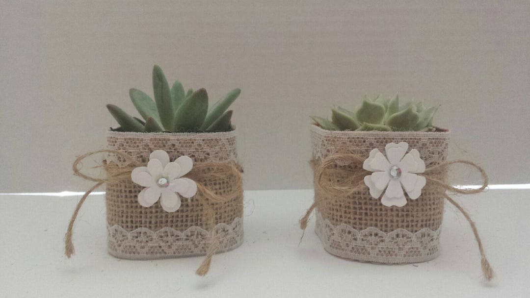 Succulent Plant Favors: Burlap, Lace, and Flower - Party Gift - Etsy