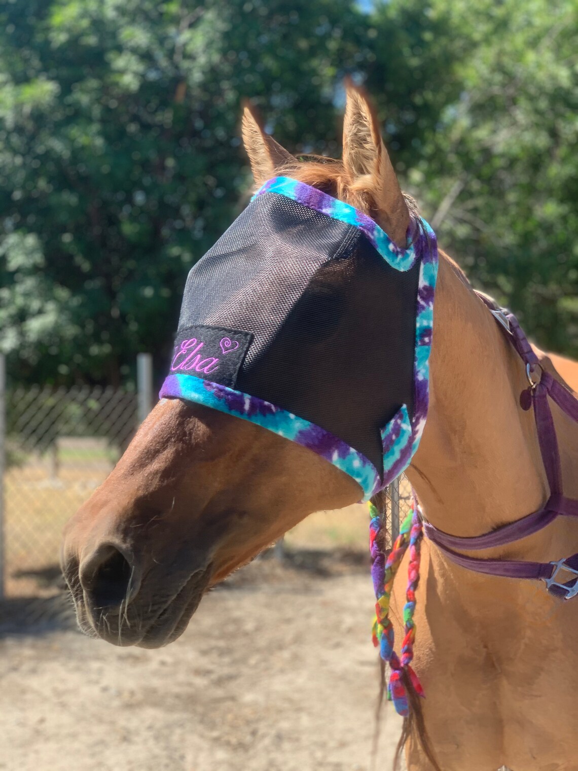 Custom Made Embroidered HORSE FLY MASK by Bobbigee's - Etsy