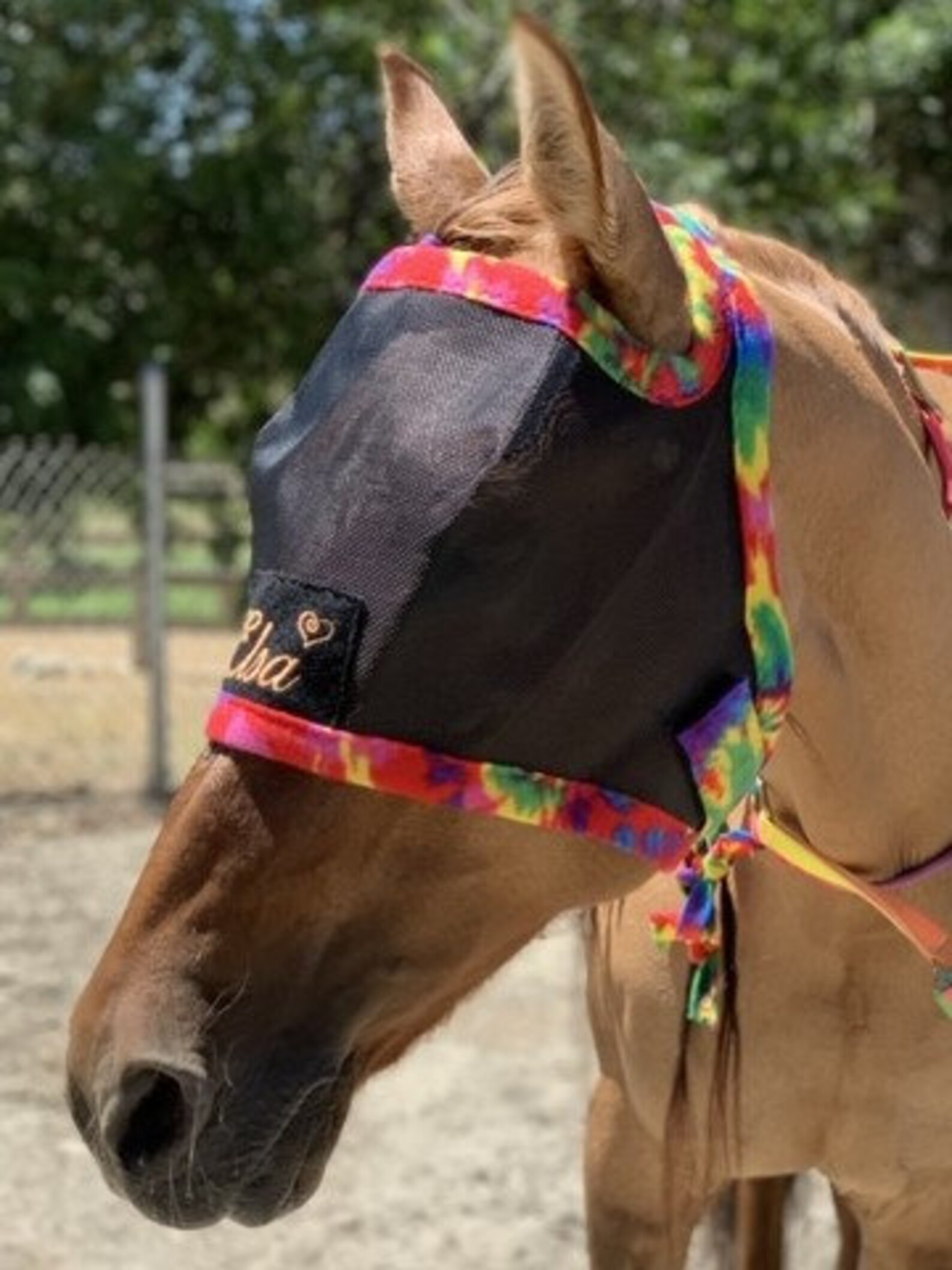 Custom Made Embroidered HORSE FLY MASK by Bobbigee's - Etsy