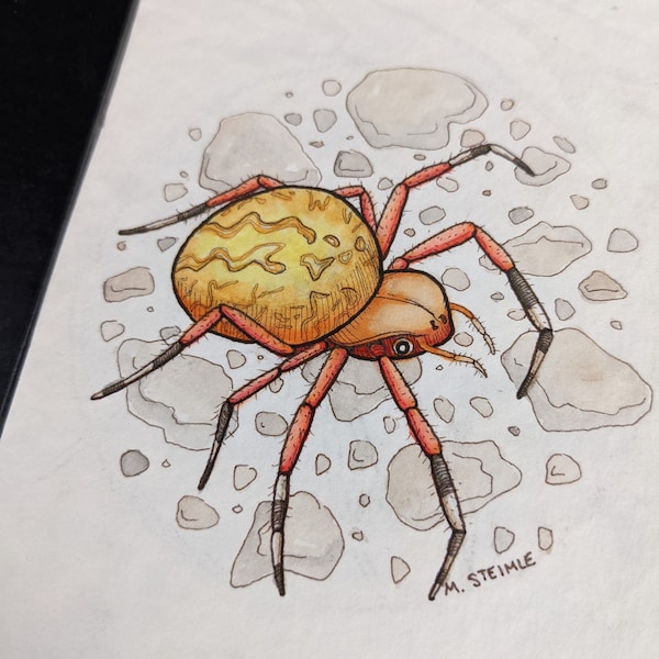 Orb Weaver Spider - Etsy