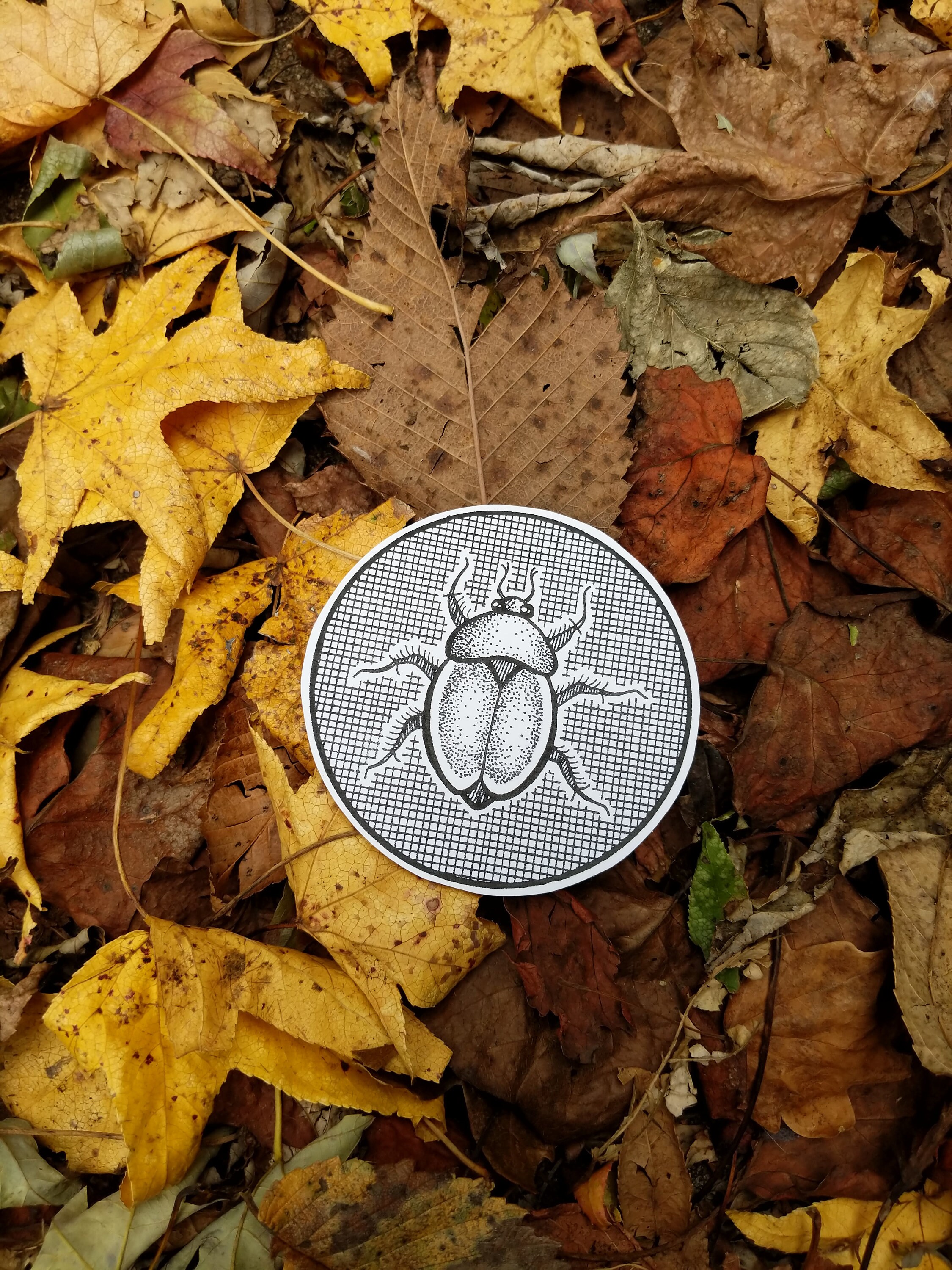 June Bug Art Sticker Matte Vinyl Sticker From Original Pen and | Etsy