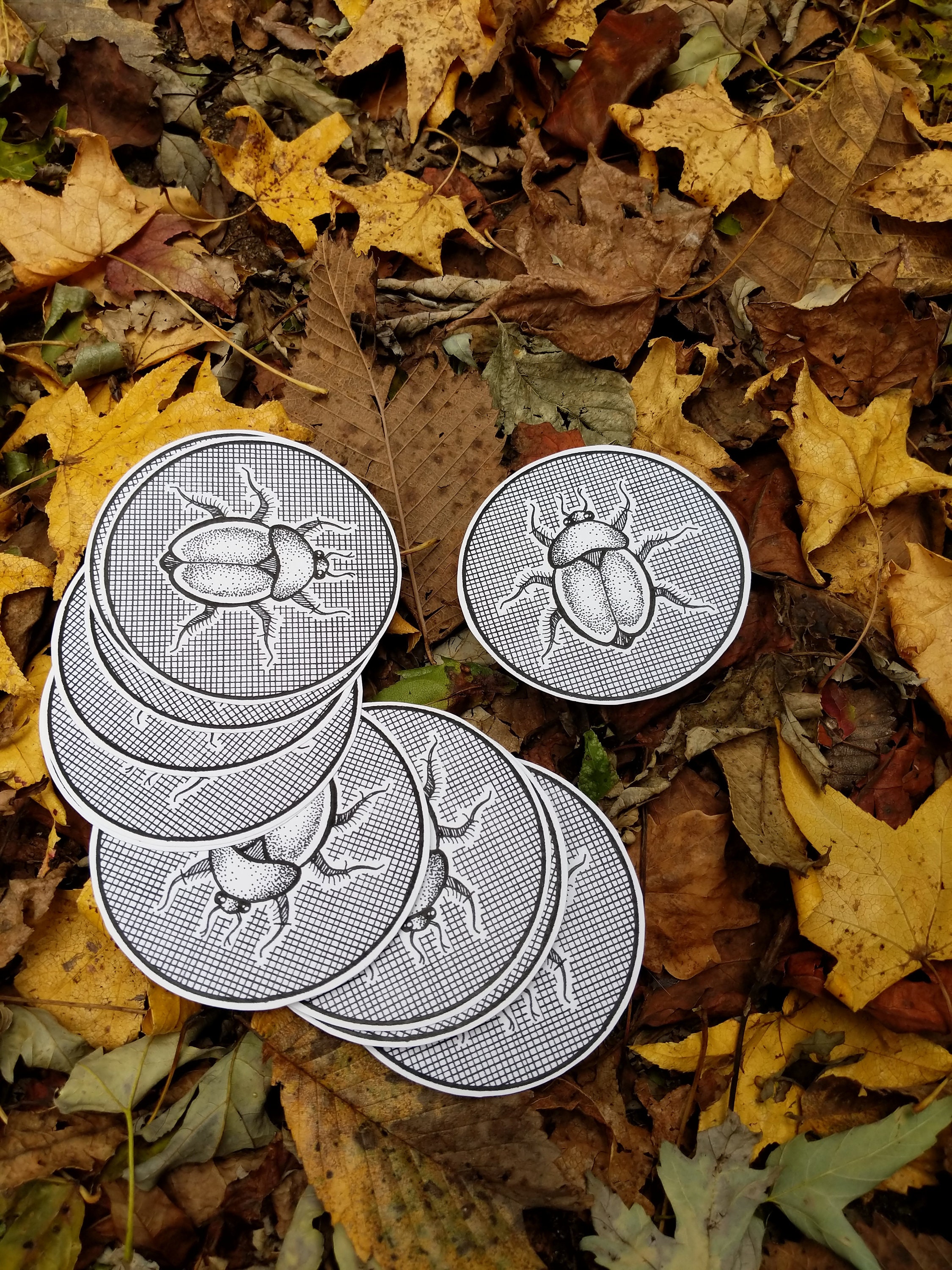 June Bug Art Sticker Matte Vinyl Sticker From Original Pen and Ink ...