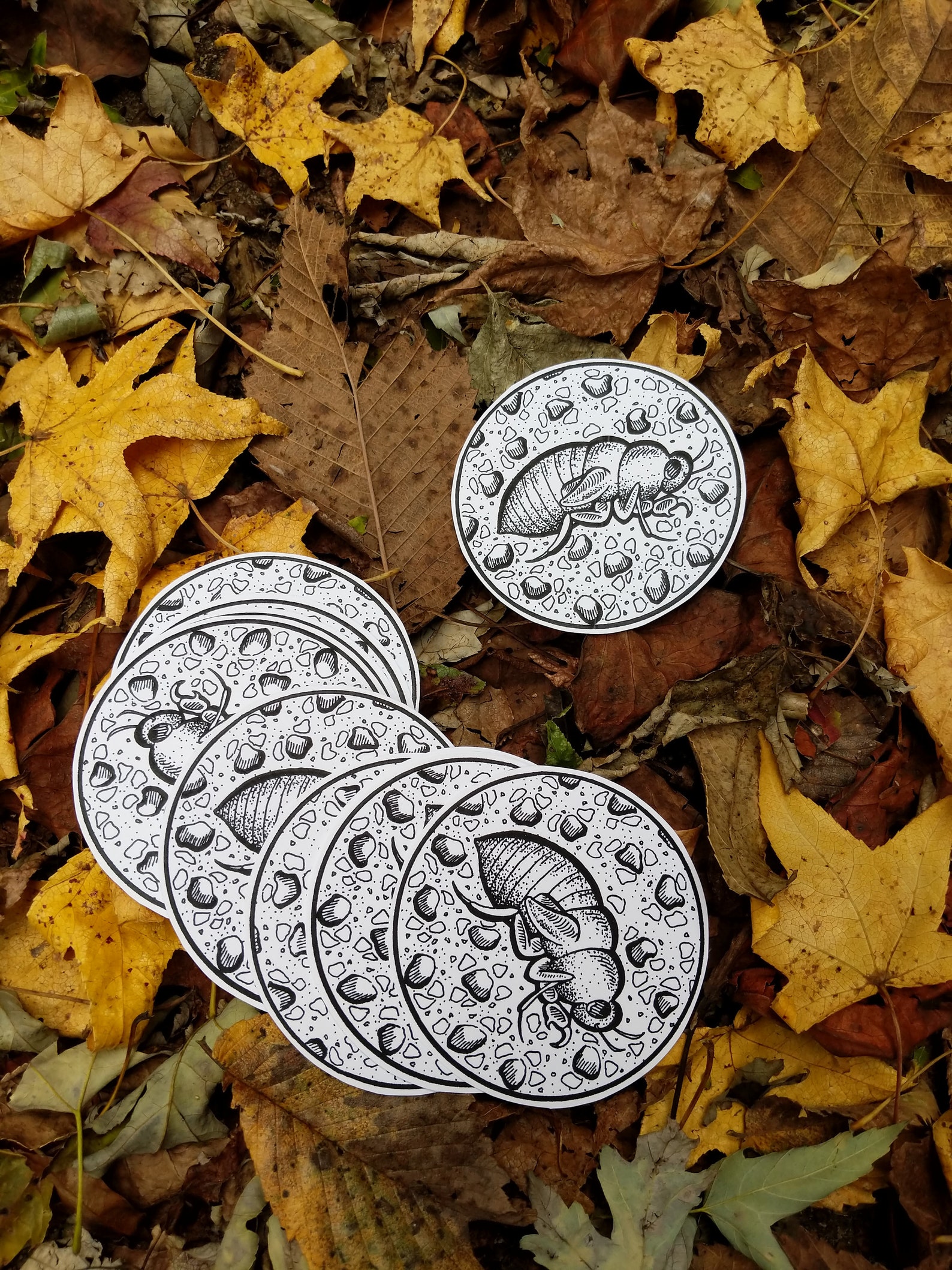 Cicada Shell Art Sticker Matte Vinyl Sticker From Original Pen - Etsy