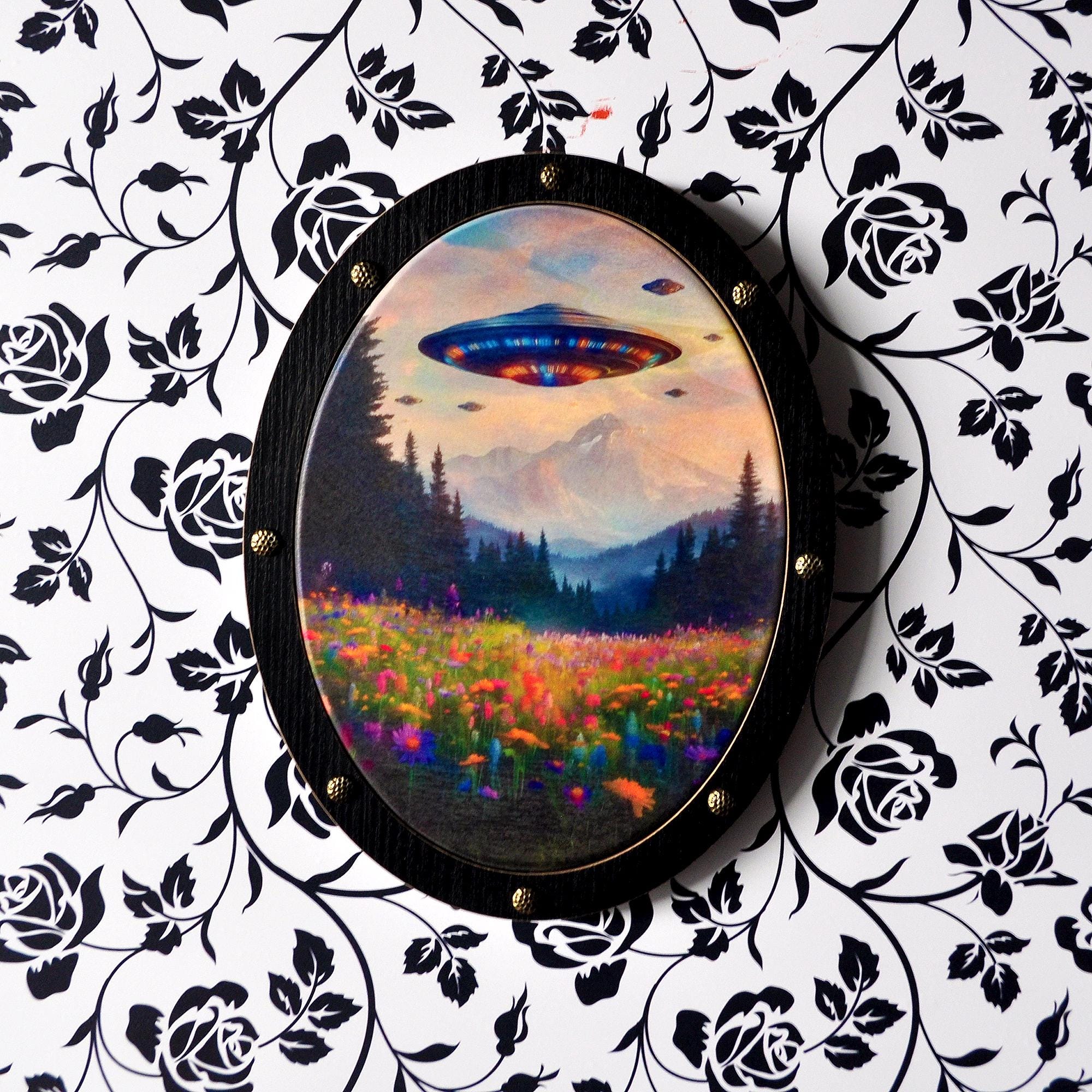 UFO Scenic Wall Art - Handcrafted Oval Frame With White Accent - Cosmic ...
