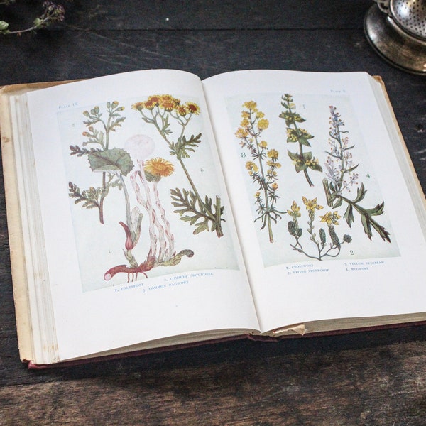 Flower Book Plate - Etsy