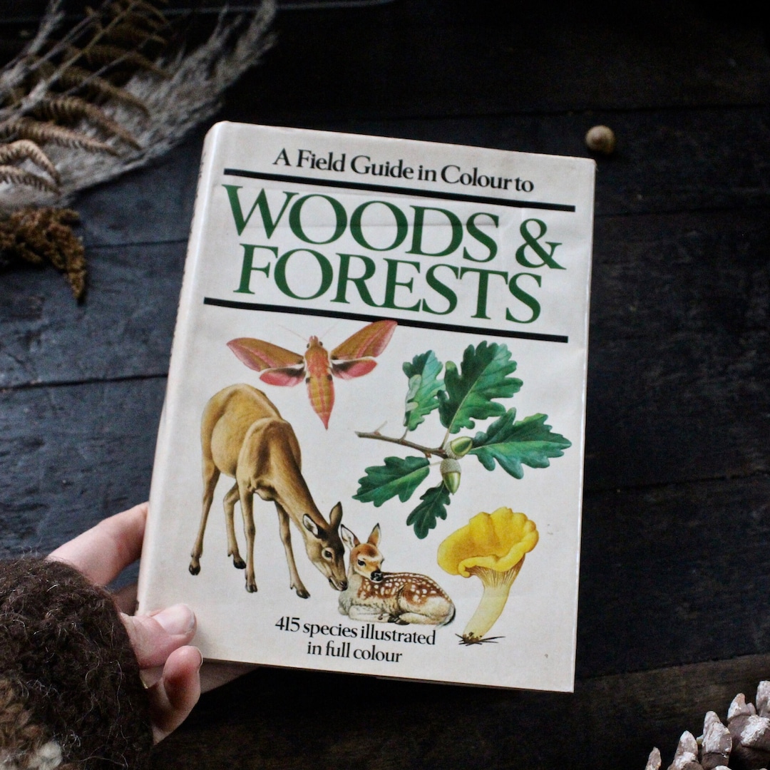 Woods & Forests Vintage Field Guide in Colour Illustrated Wildlife ...