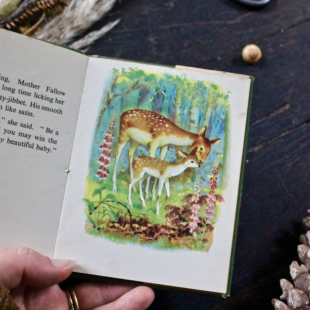 Vintage 1940's Children's Illustrated Story Book Wily Fox & the Baby ...