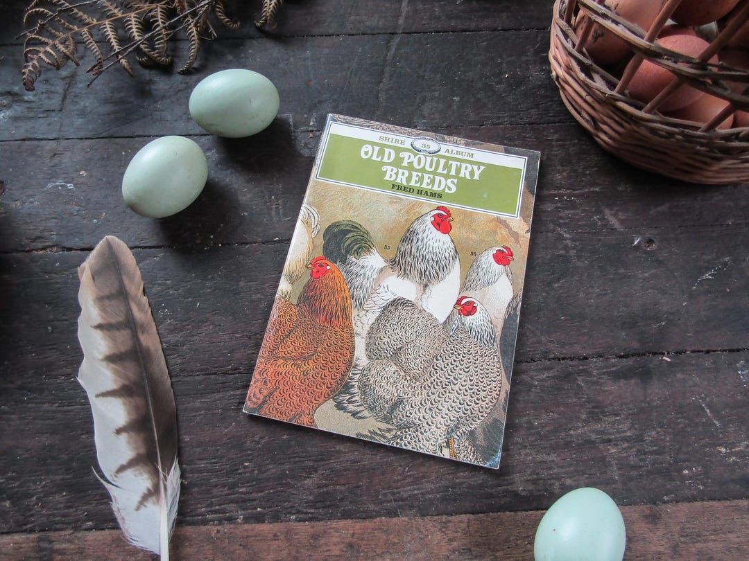 Old Poultry Breeds | Vintage 1980's Chicken Keeping Book ~ Heritage ...