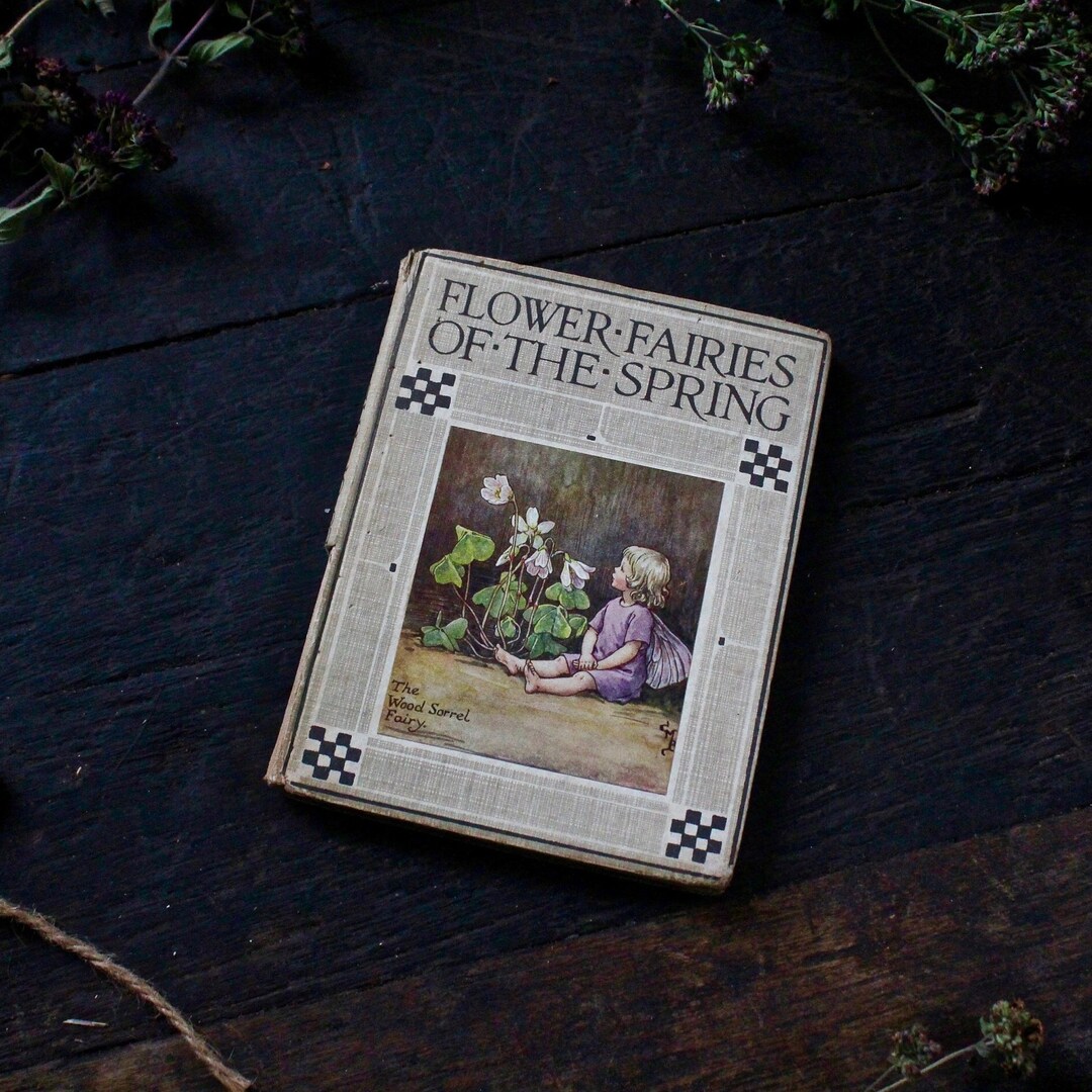 1940's Flower Fairies of the Spring by Cicely Mary Barker Vintage ...