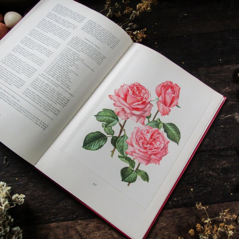 Botanical Book Plate - Etsy