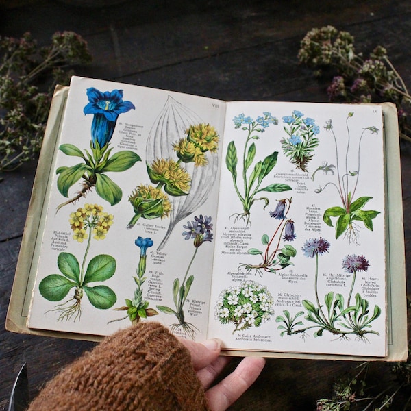 Vintage Flower Book - Etsy