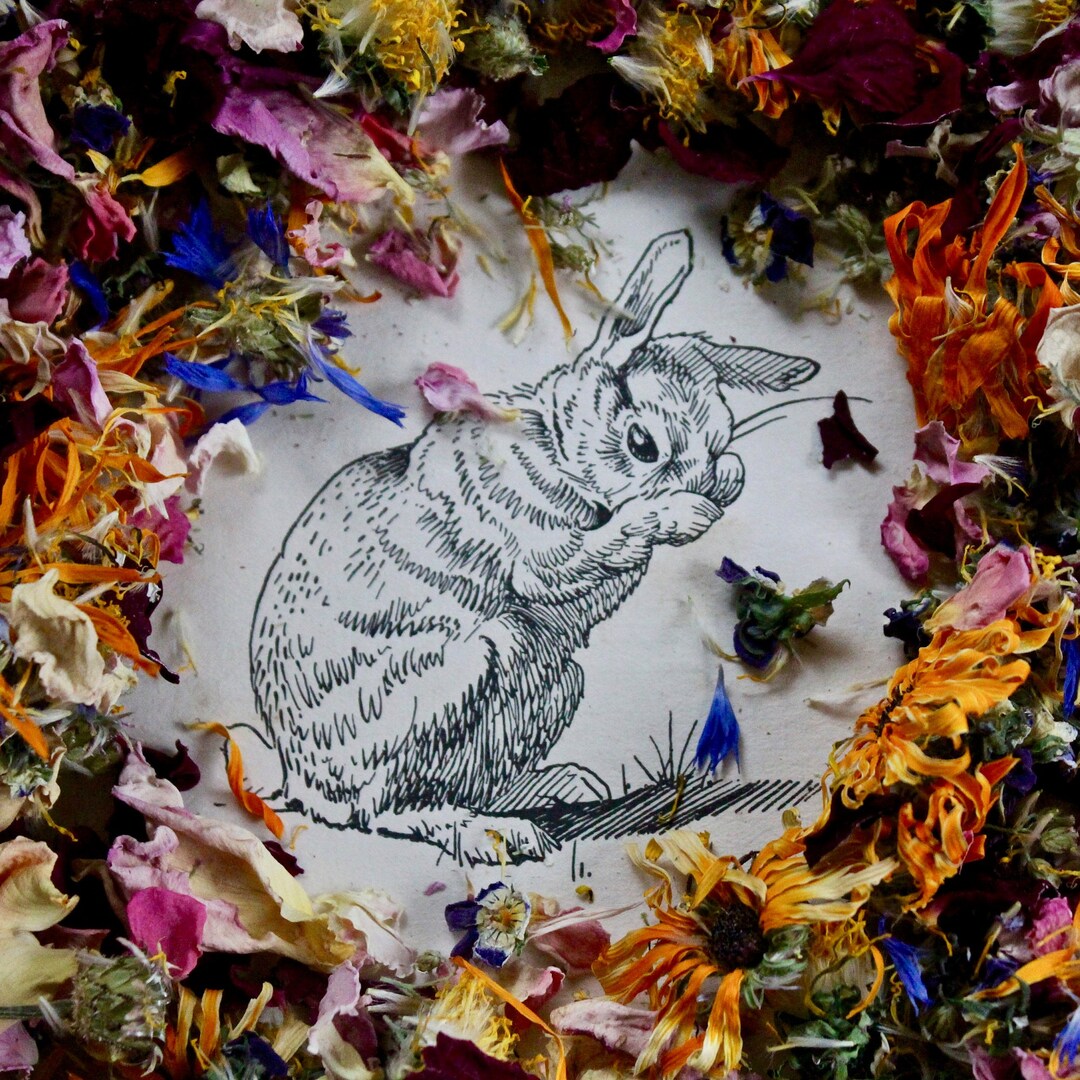Bunny Bloom Edible Floral Forage Bag for Rabbits Flower - Etsy