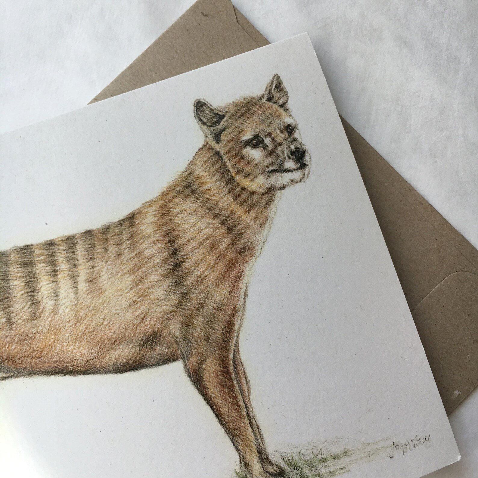 2 X Tiger Cards Australian Wildlife Art Greeting Cards - Etsy