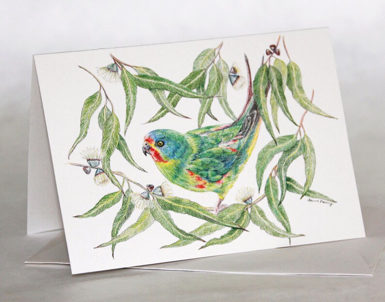 Swift Parrot Australian Greeting Card Wildlife Art | Etsy