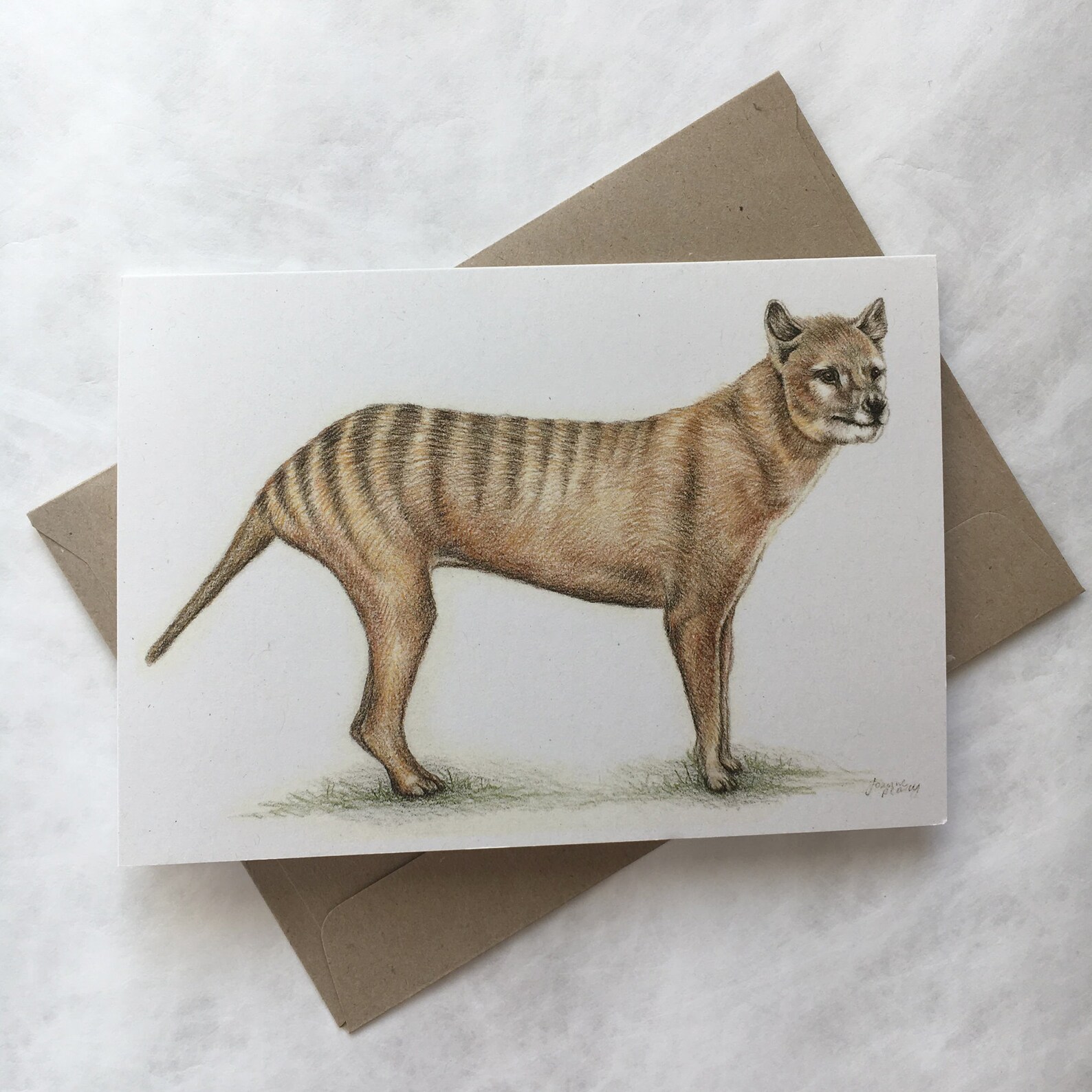 2 X Tiger Cards Australian Wildlife Art Greeting Cards - Etsy