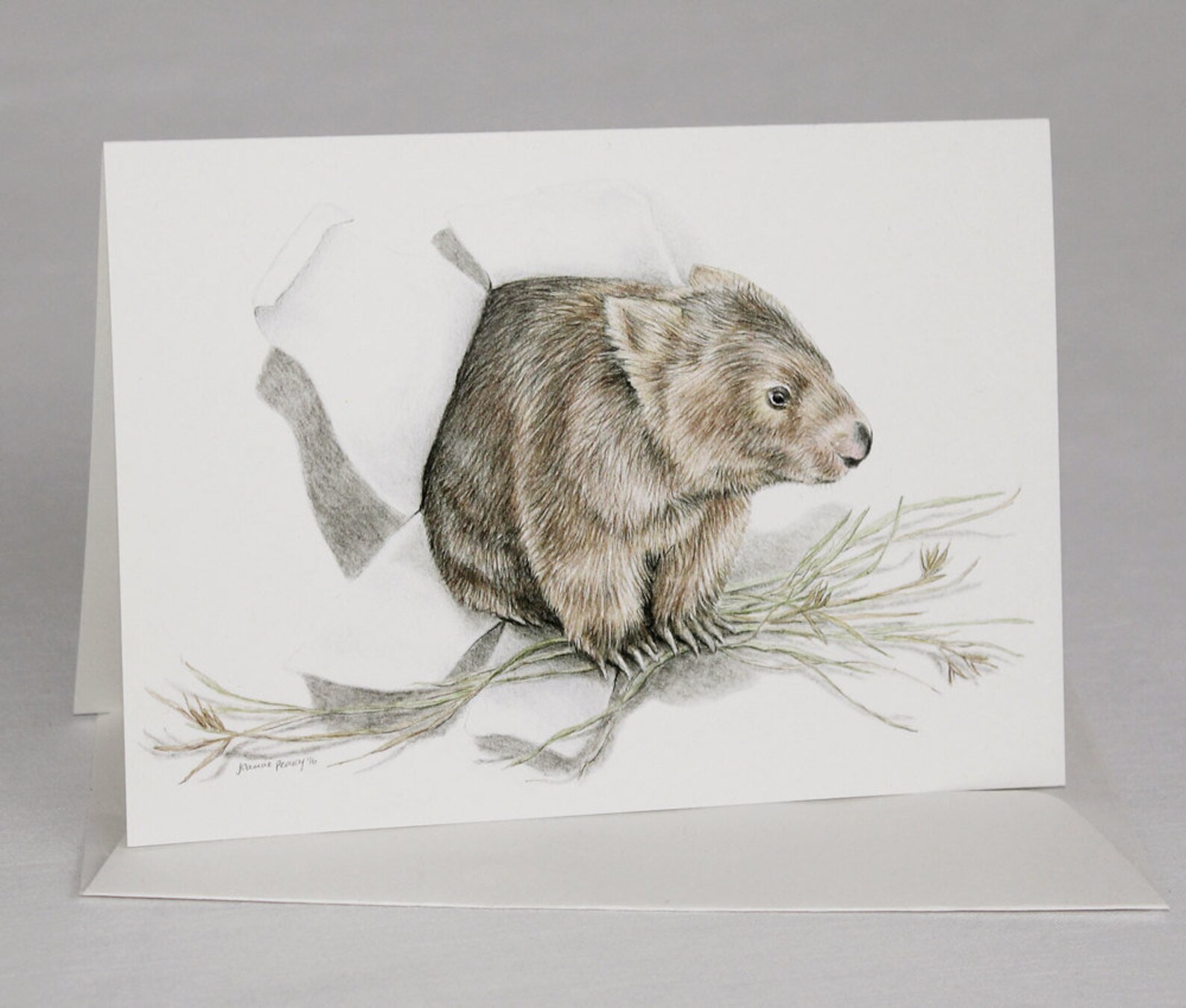 Wombat Australian wildlife art greeting card. Pencil | Etsy