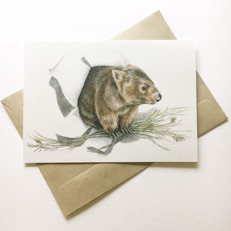 Wombat Australian Wildlife Art Greeting Card. Pencil - Etsy Australia