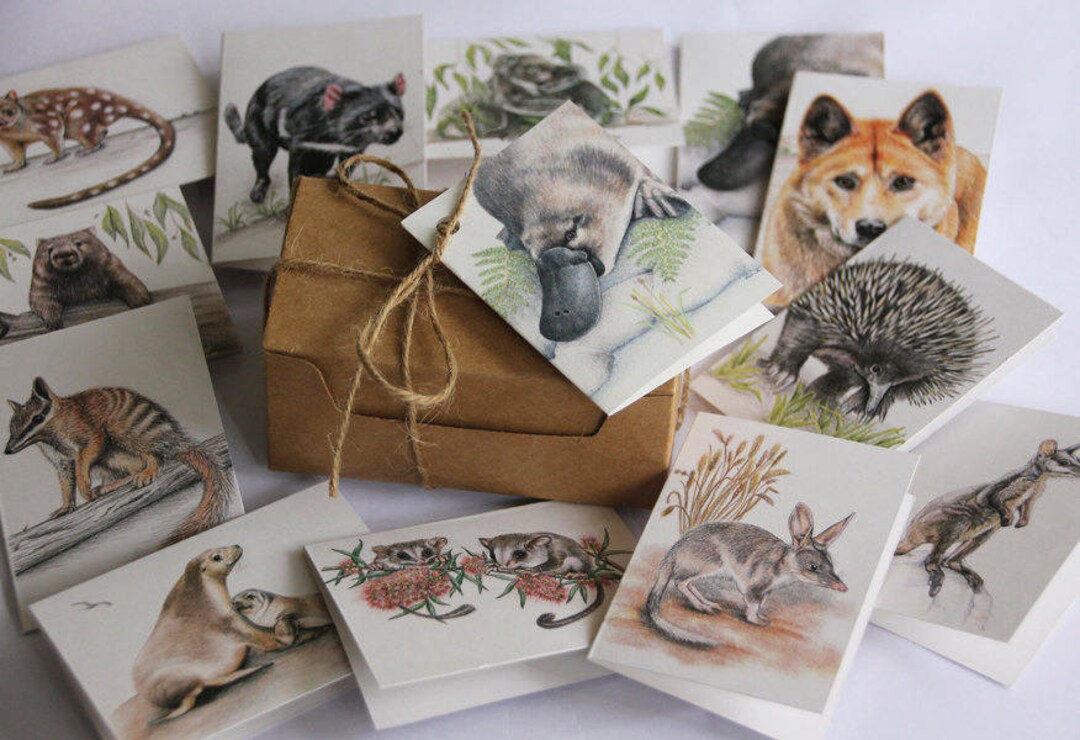 Mini Gift Cards - Box Set of 12 - Australian MAMMALS - Wildlife Animals ...