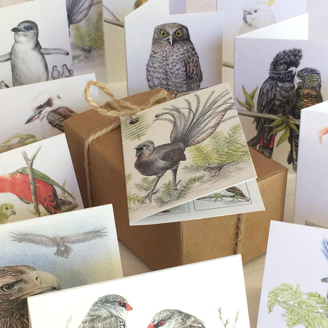 Mini Gift Cards Box Set of 12 Australian BIRDS Wildlife Recycled Card ...