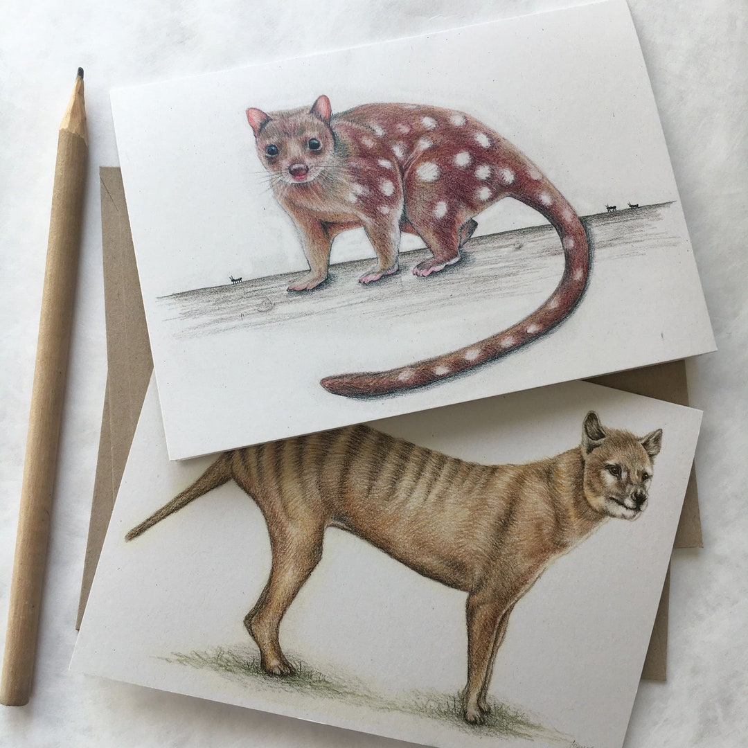 2 X Tiger Cards Australian Wildlife Art Greeting Cards - Etsy