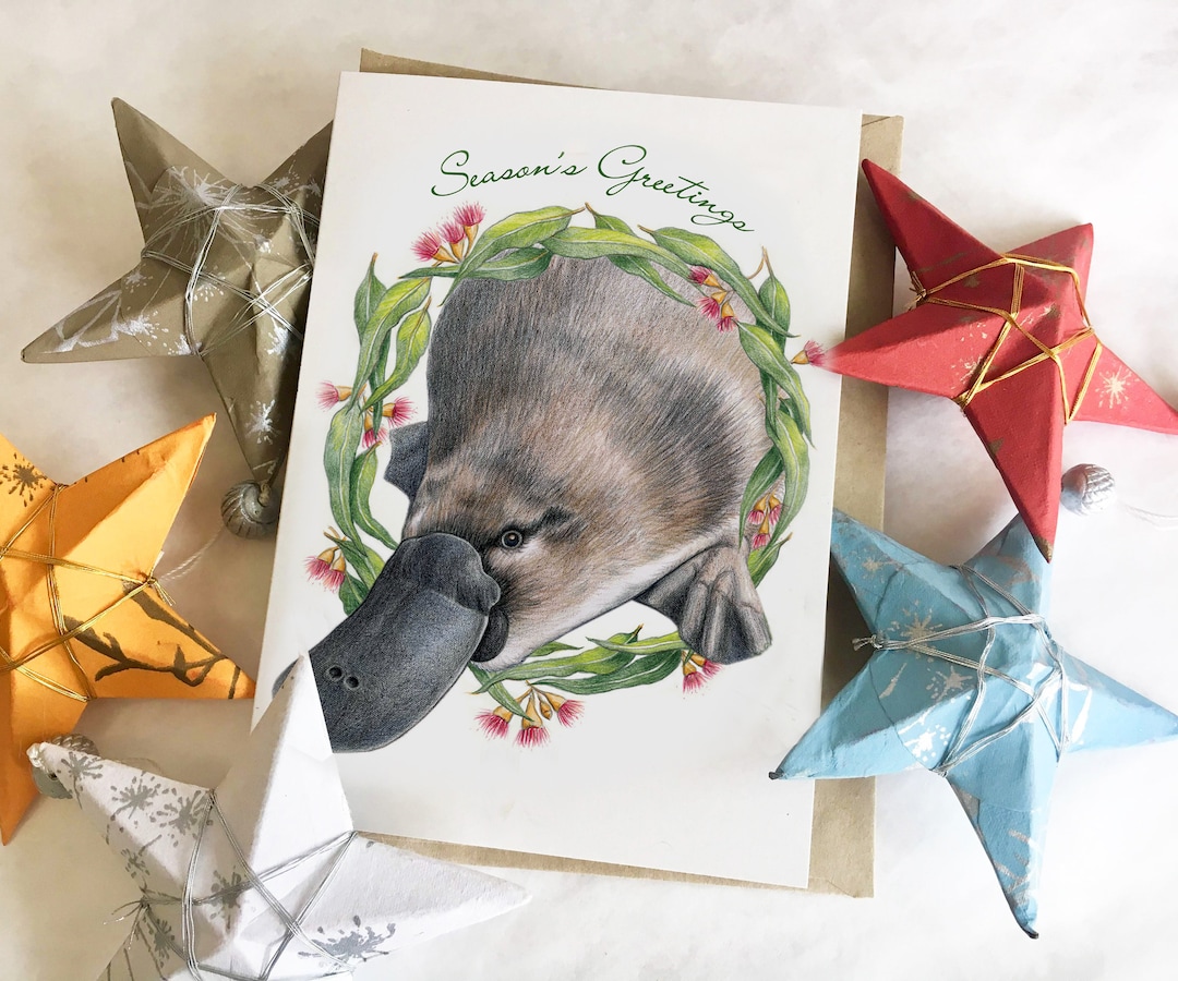 Christmas Card With Platypus and Australian Gum Leaf Wreath Blossom ...