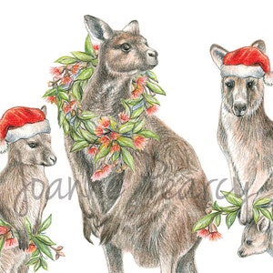 Australian Christmas Card With Kangaroo Family, Eucalypt Gum Leaf and ...