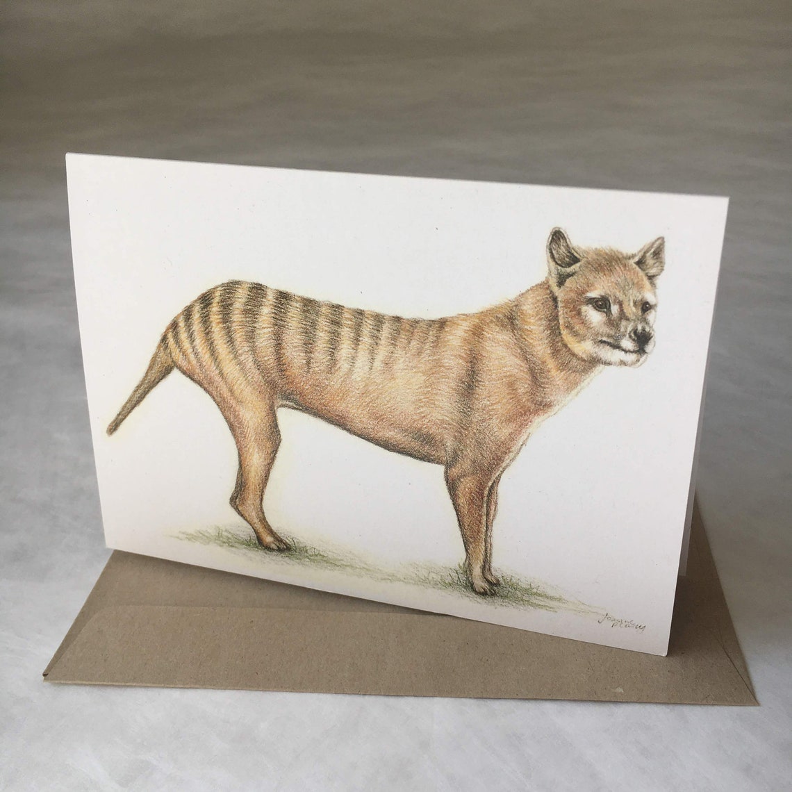 2 X Tiger Cards Australian Wildlife Art Greeting Cards - Etsy