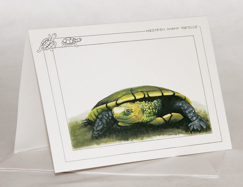 Tortoise Greeting Card Australian Wildlife Art Western Swamp - Etsy