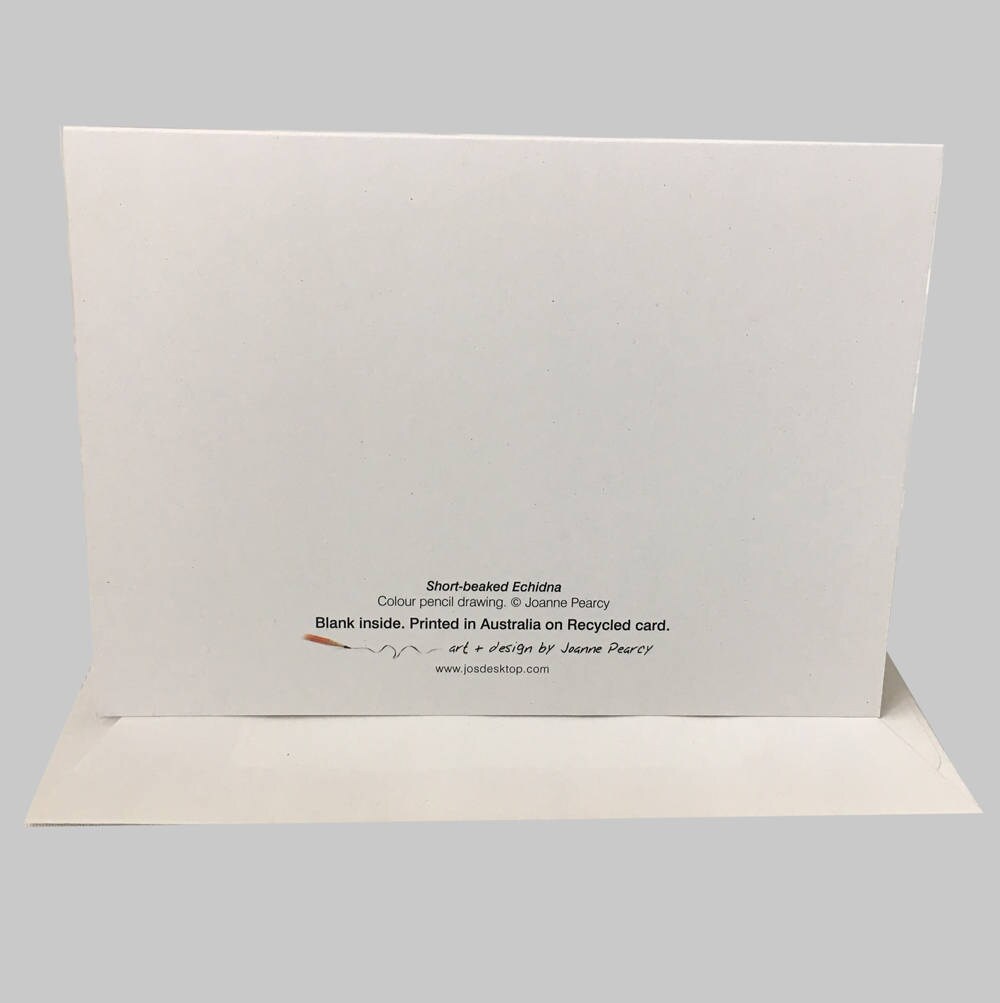 Australian Christmas Card With Echidna in Santa Hat and Gold - Etsy ...