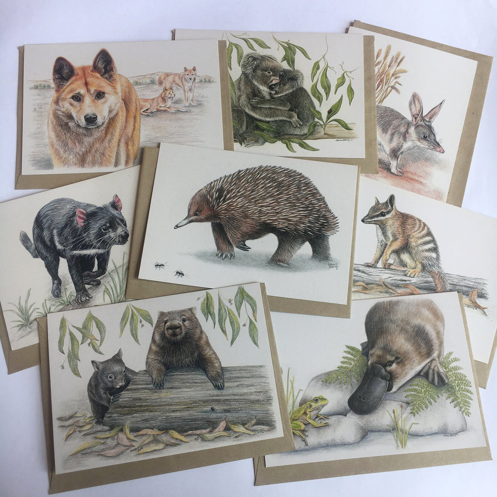 Australian ANIMAL Greeting Cards GIFT BOX of 8 Unique - Etsy