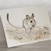 Dusky Hopping Mouse Australian Wildlife Art Greeting Card. Cute Little ...