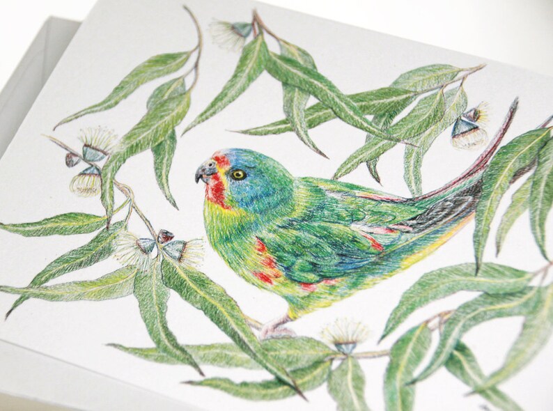 Swift Parrot Australian Greeting Card Wildlife Art | Etsy