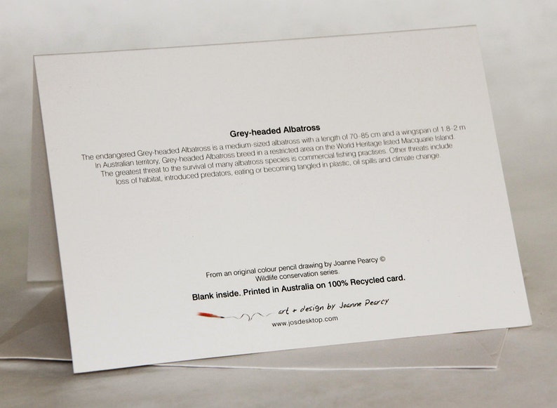 Grey-headed Albatross Greeting Card Australian Wildlife Art - Etsy