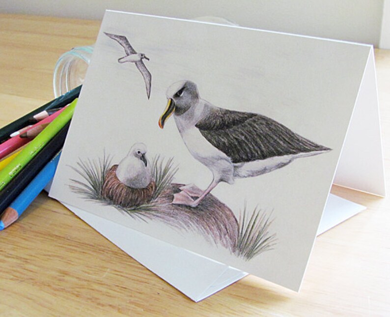 Grey-headed Albatross Greeting Card Australian Wildlife Art - Etsy