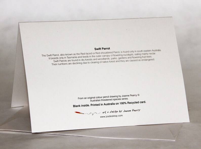 Swift Parrot Australian Greeting Card Wildlife Art | Etsy