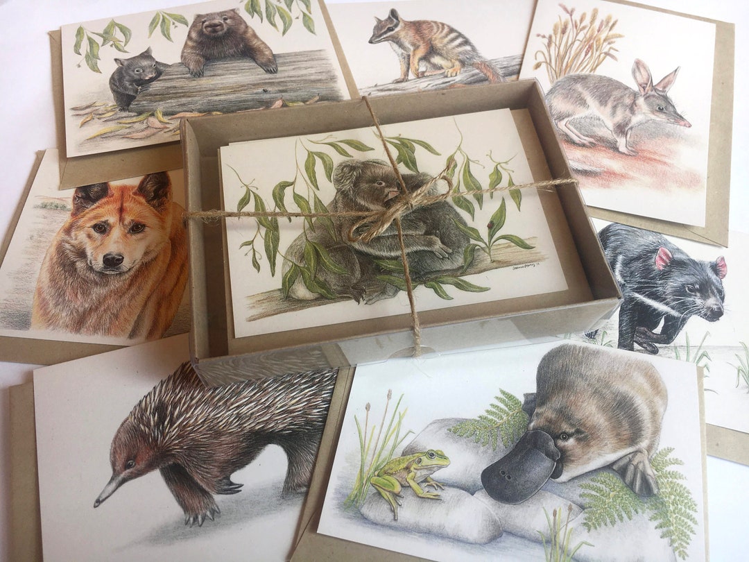 Australian ANIMAL Greeting Cards GIFT BOX of 8 Unique Mammals Wildlife ...