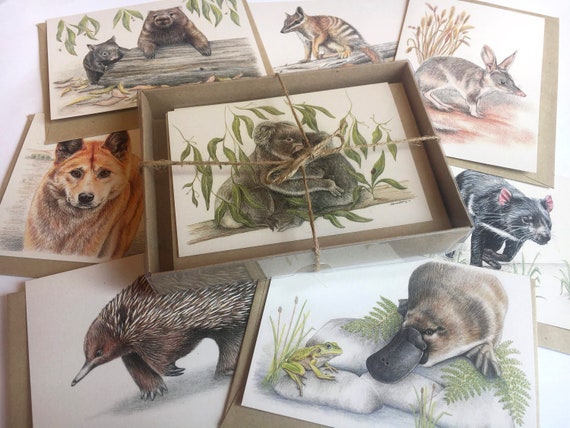 Australian ANIMAL Greeting Cards GIFT BOX of 8 Unique - Etsy