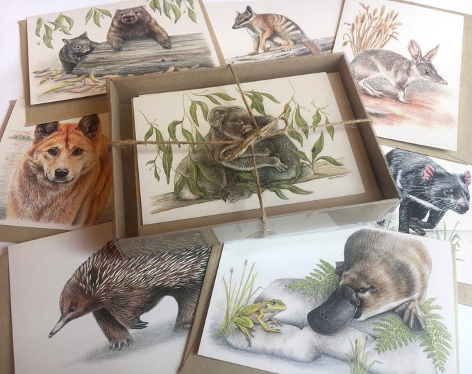 Australian ANIMAL Greeting Cards GIFT BOX of 8 - Unique Mammals ...