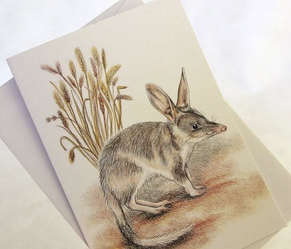 Bilby Greeting Card Portrait Australian Wildlife Cute Animal | Etsy