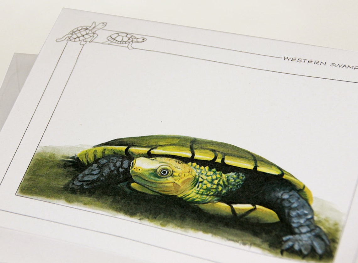 Tortoise greeting card Australian wildlife art Western Swamp | Etsy