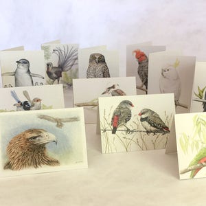 Mini Gift Cards Box Set of 12 Australian BIRDS Wildlife Recycled Card ...