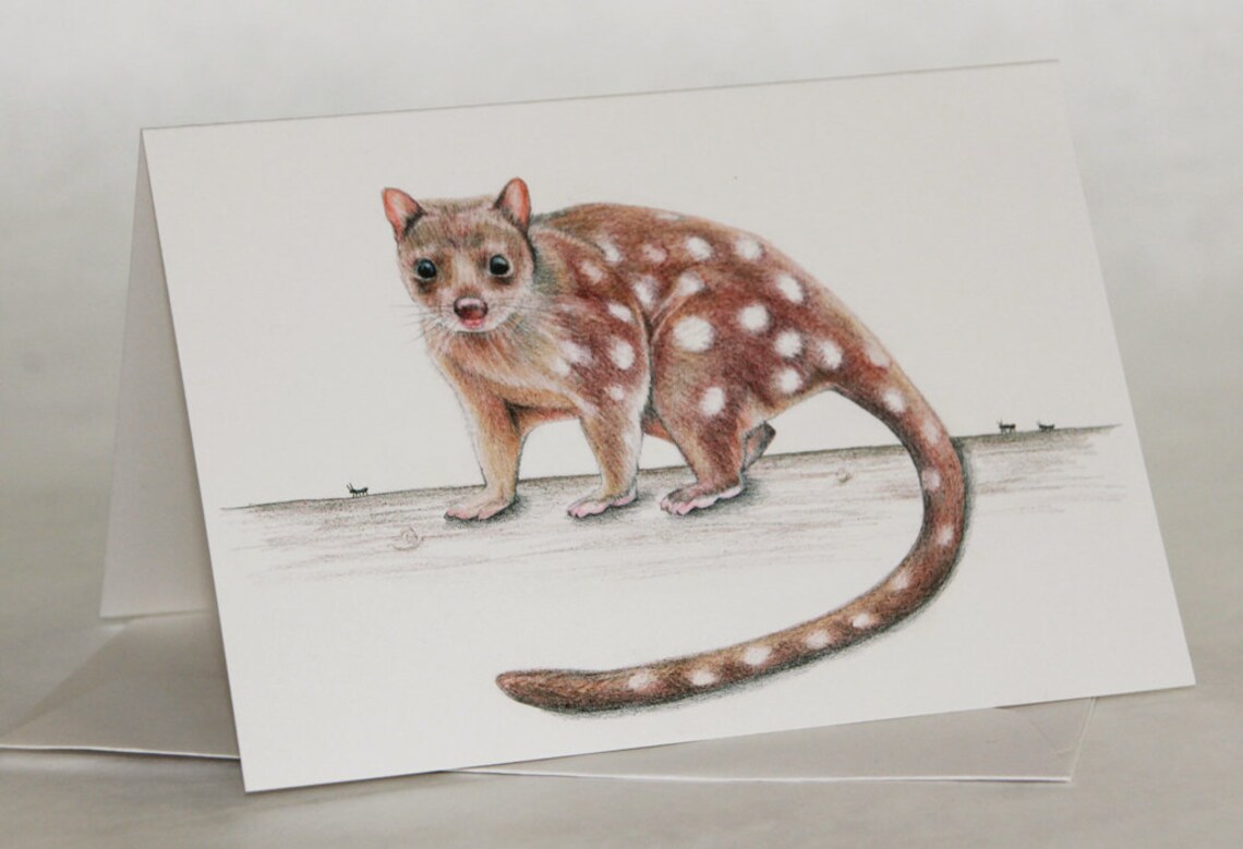 2 X Tiger Cards Australian Wildlife Art Greeting Cards - Etsy