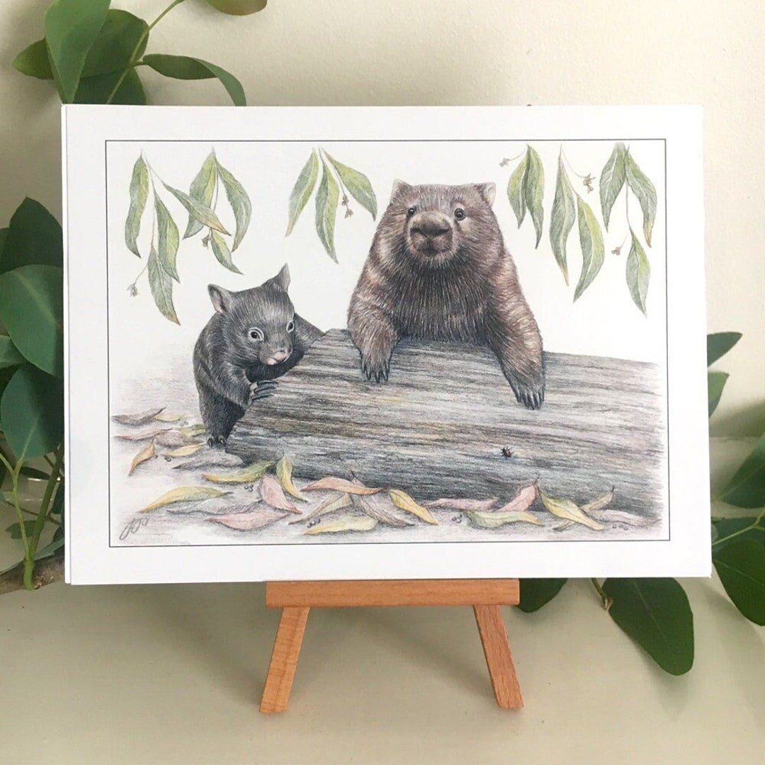 Wombats - Medium Australian Wildlife Print A4 297x210mm, Colour Pencil ...