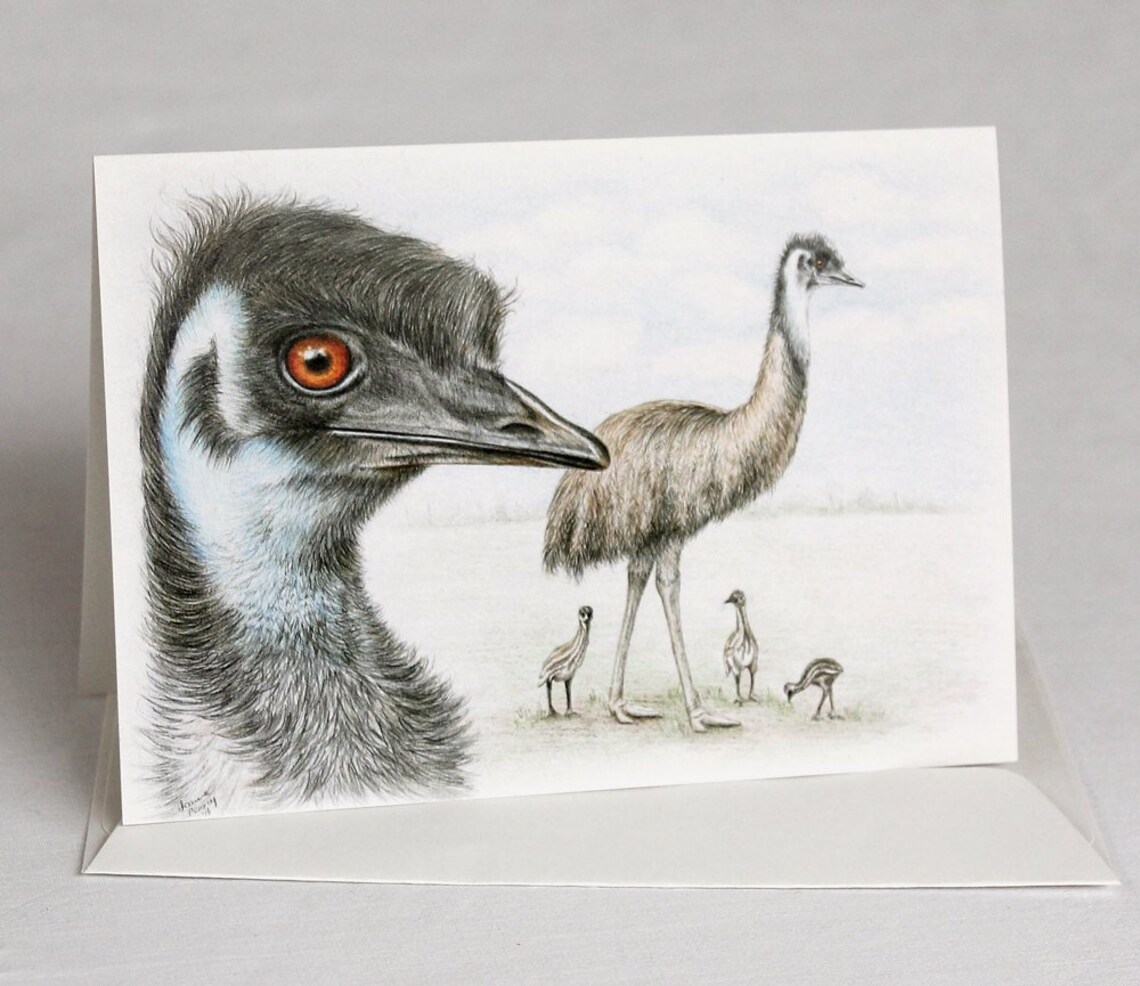 Emu Art Greeting Card: Australian Wildlife Pencil Illustration on ...