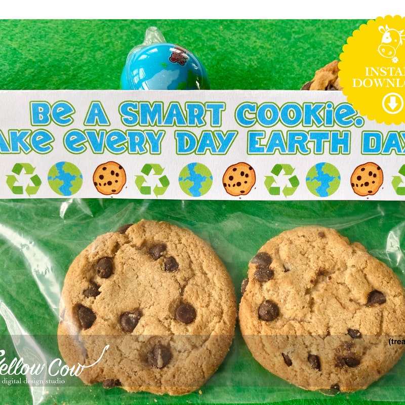 Earth Day Cookies - Etsy