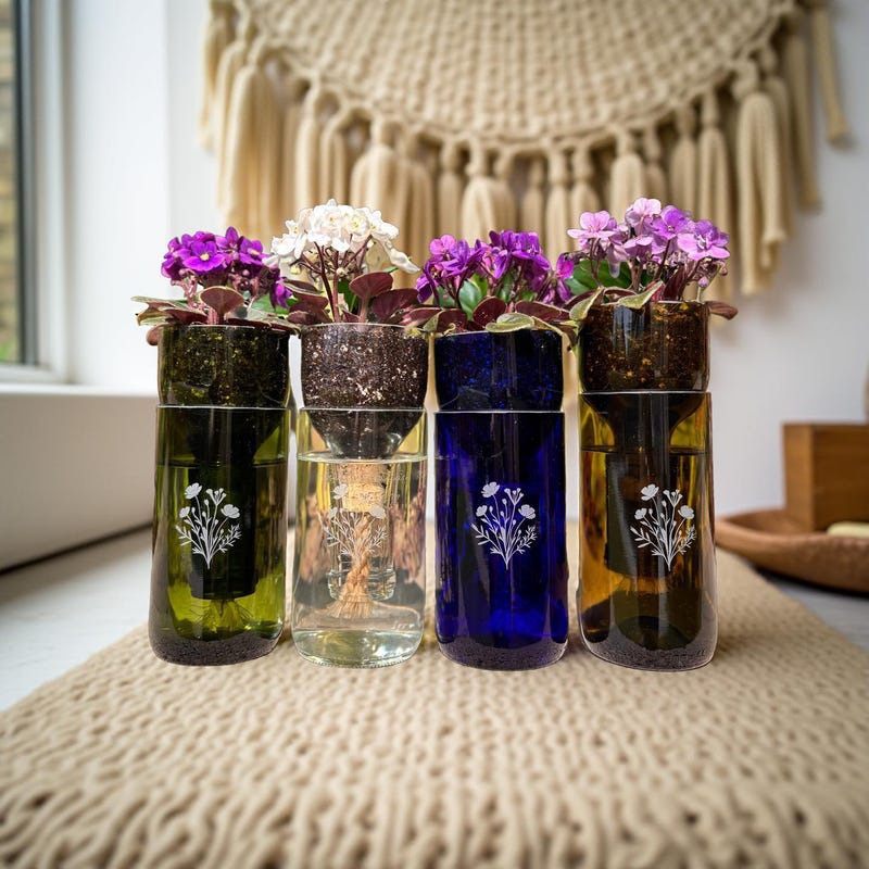 Succulent in Bottle Wine - Etsy