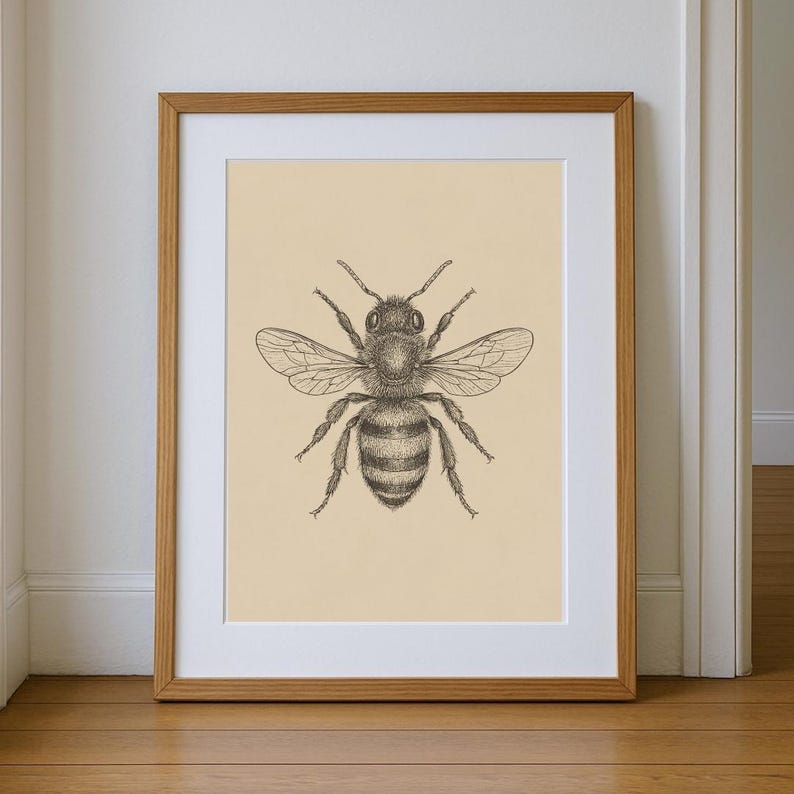 Vintage Bee Illustration, Botanical Bug Decor, Antique Entomology Print ...