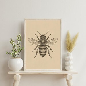Vintage Bee Illustration, Botanical Bug Decor, Antique Entomology Print ...